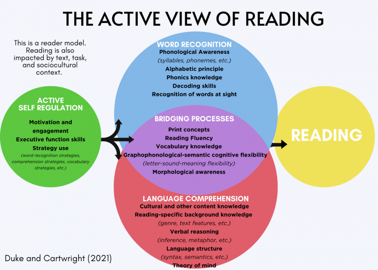 Moving Towards a More Inclusive Model of Reading: the Active View of ...