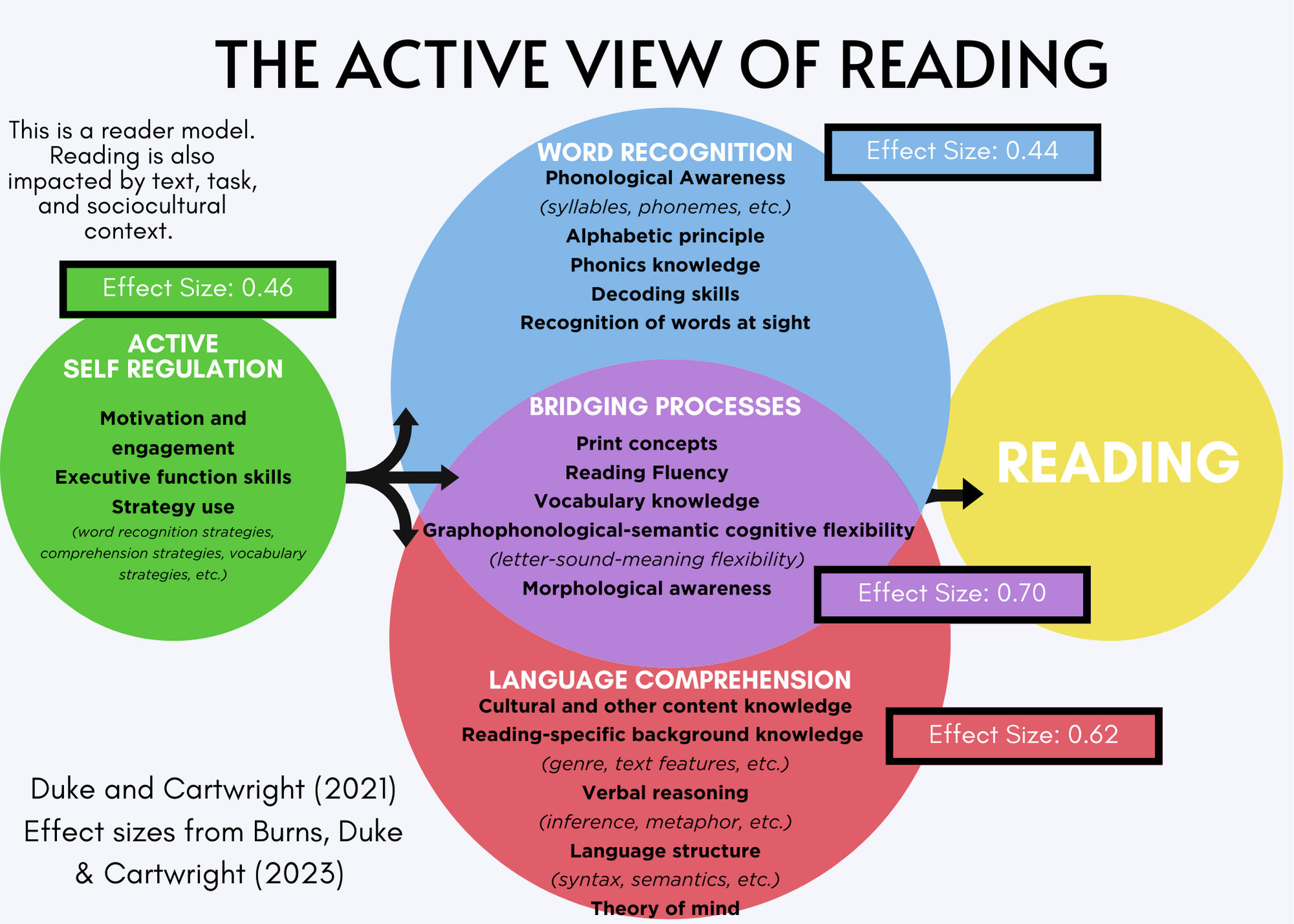 Moving Towards a More Inclusive Model of Reading: the Active View of ...